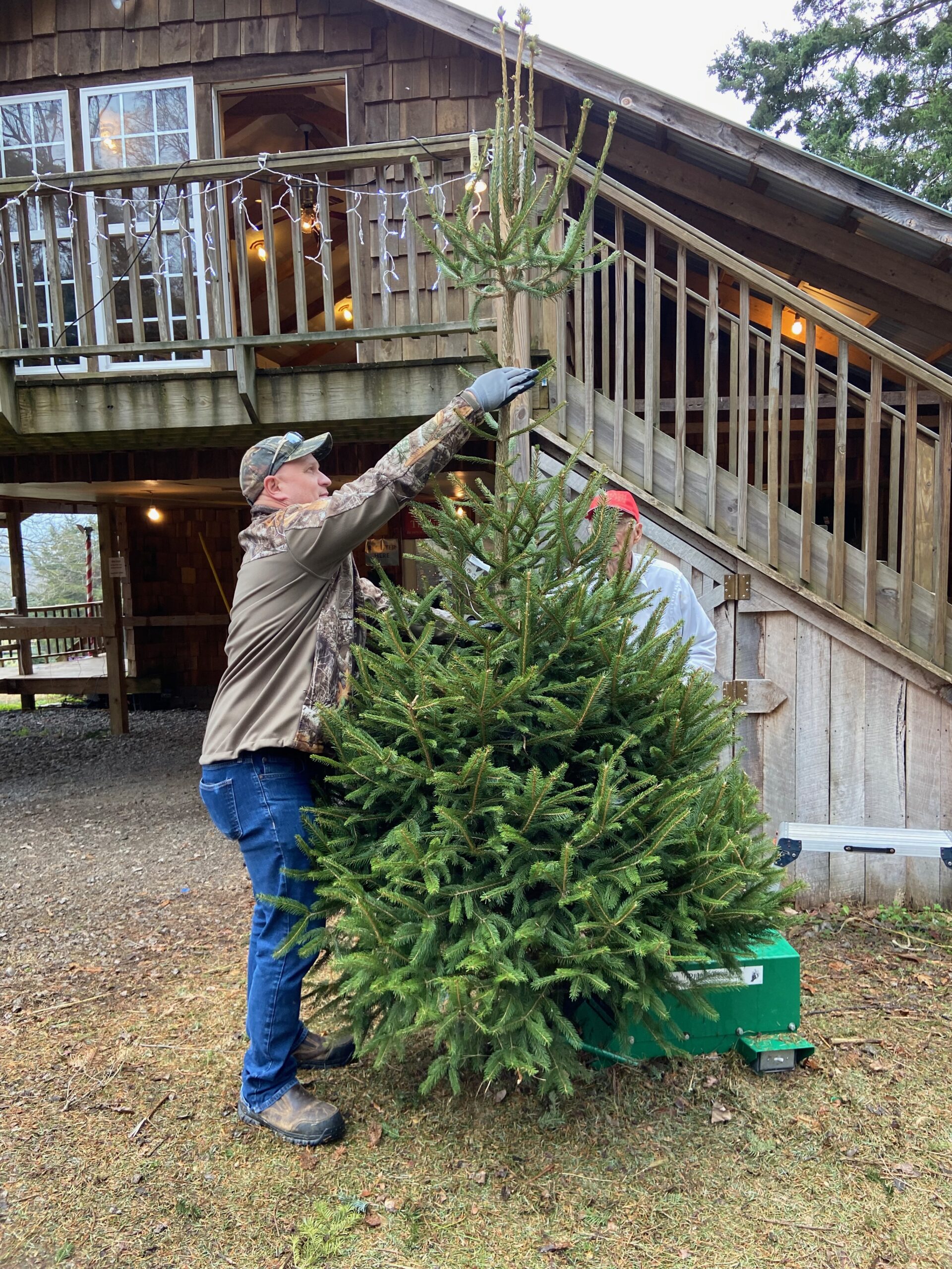 Wildwood Christmas Tree Farm | 2021 Christmas Season